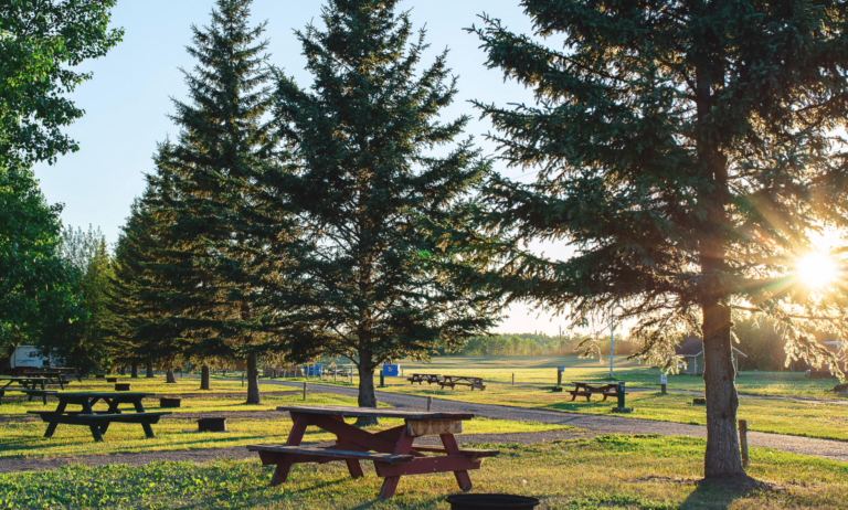 Half Moon Lake Resort - Parks and Campground Owners' Association of Albera