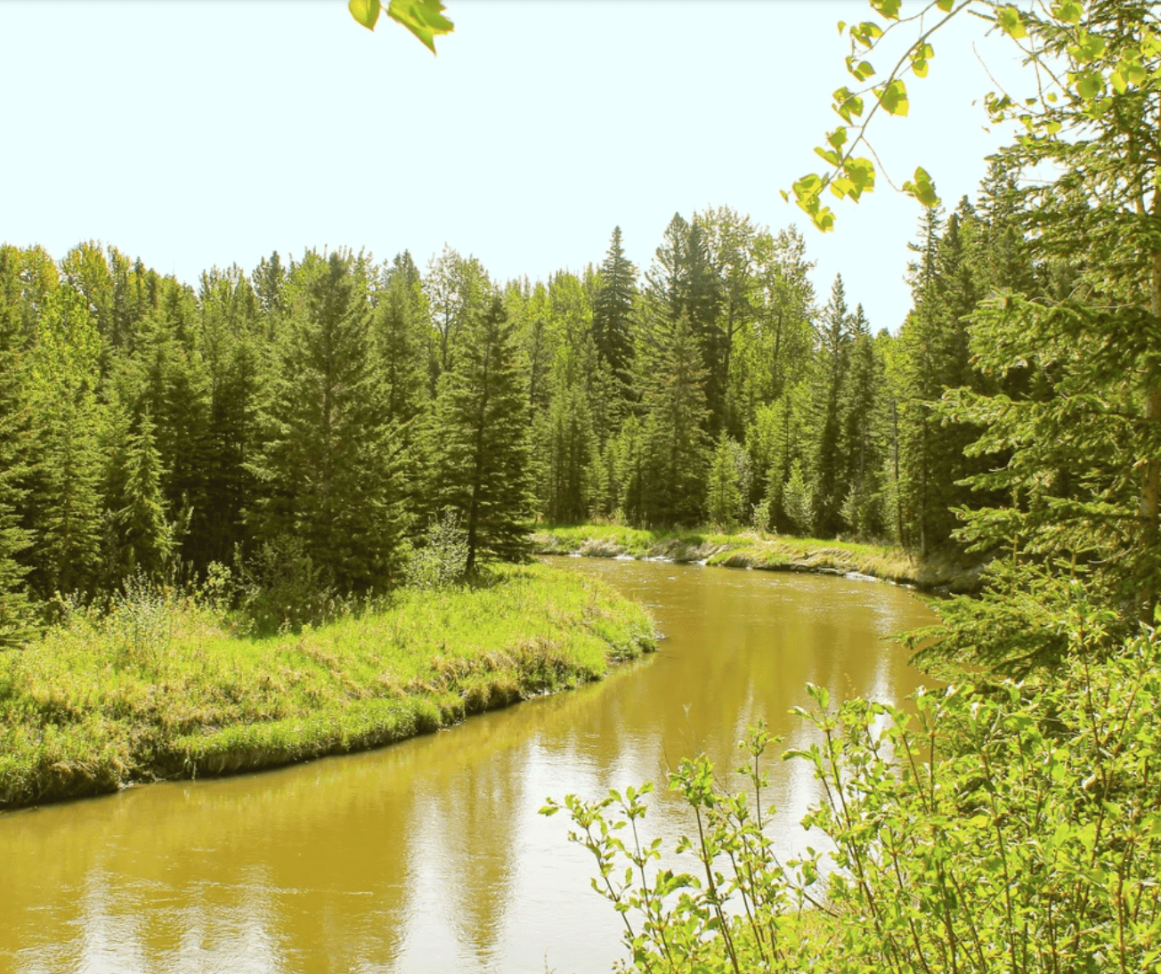 River Ridge RV Park and Campground - Parks and Campground Owners ...